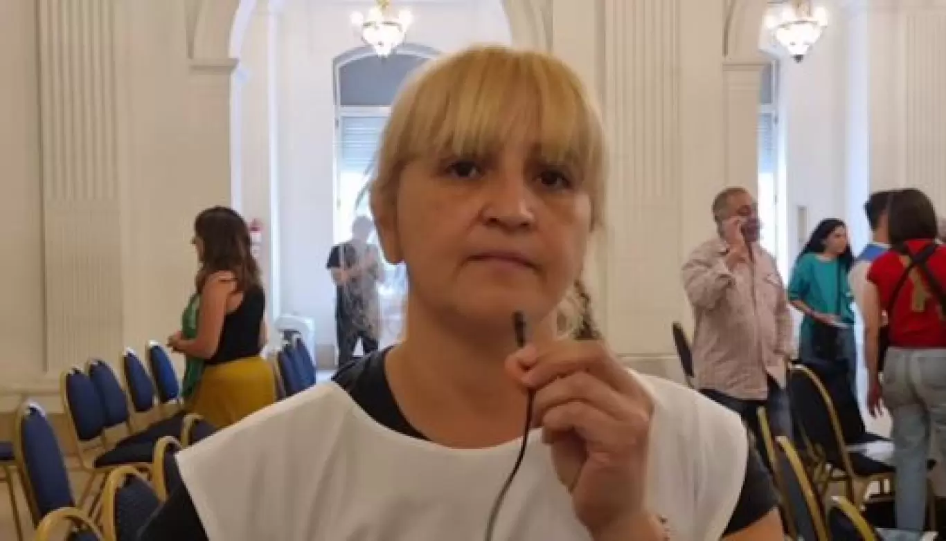 Luciana Franco: "Los diputados que iban a apoyarnos nos terminaron ...